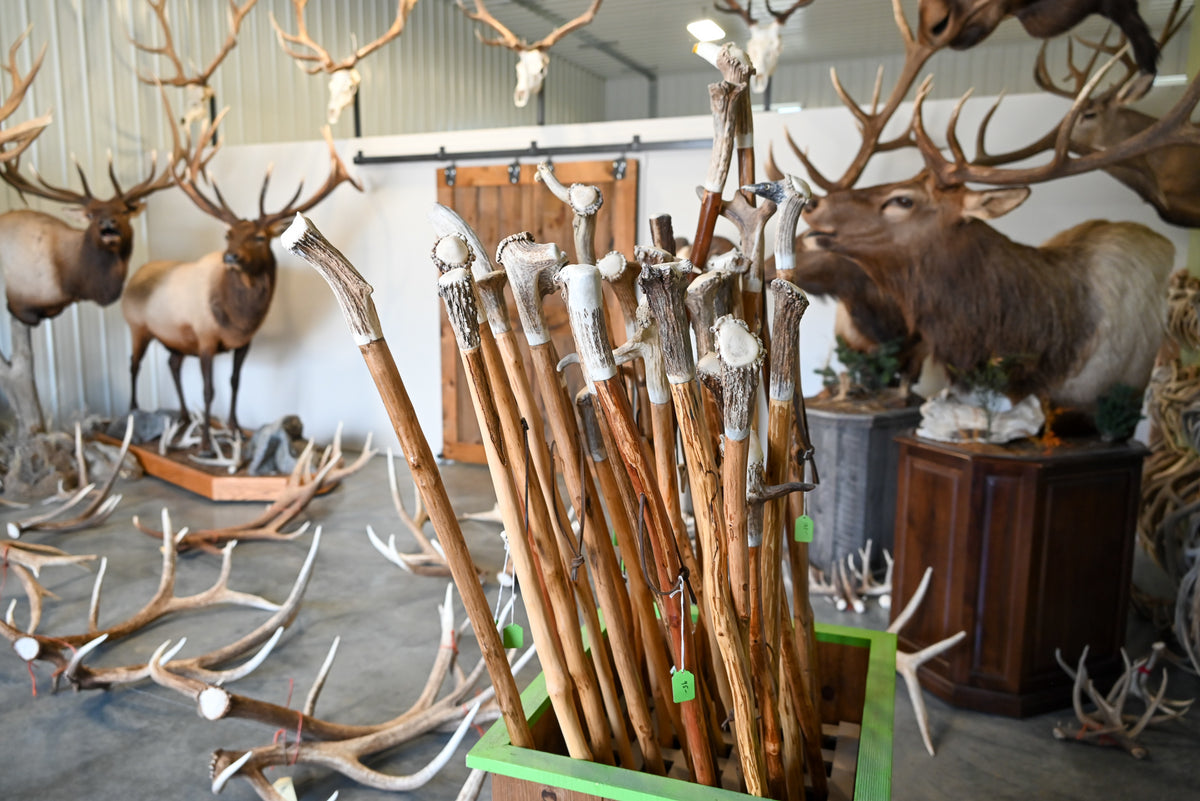 Hand Carved Walk Sticks – Antlers Unlimited