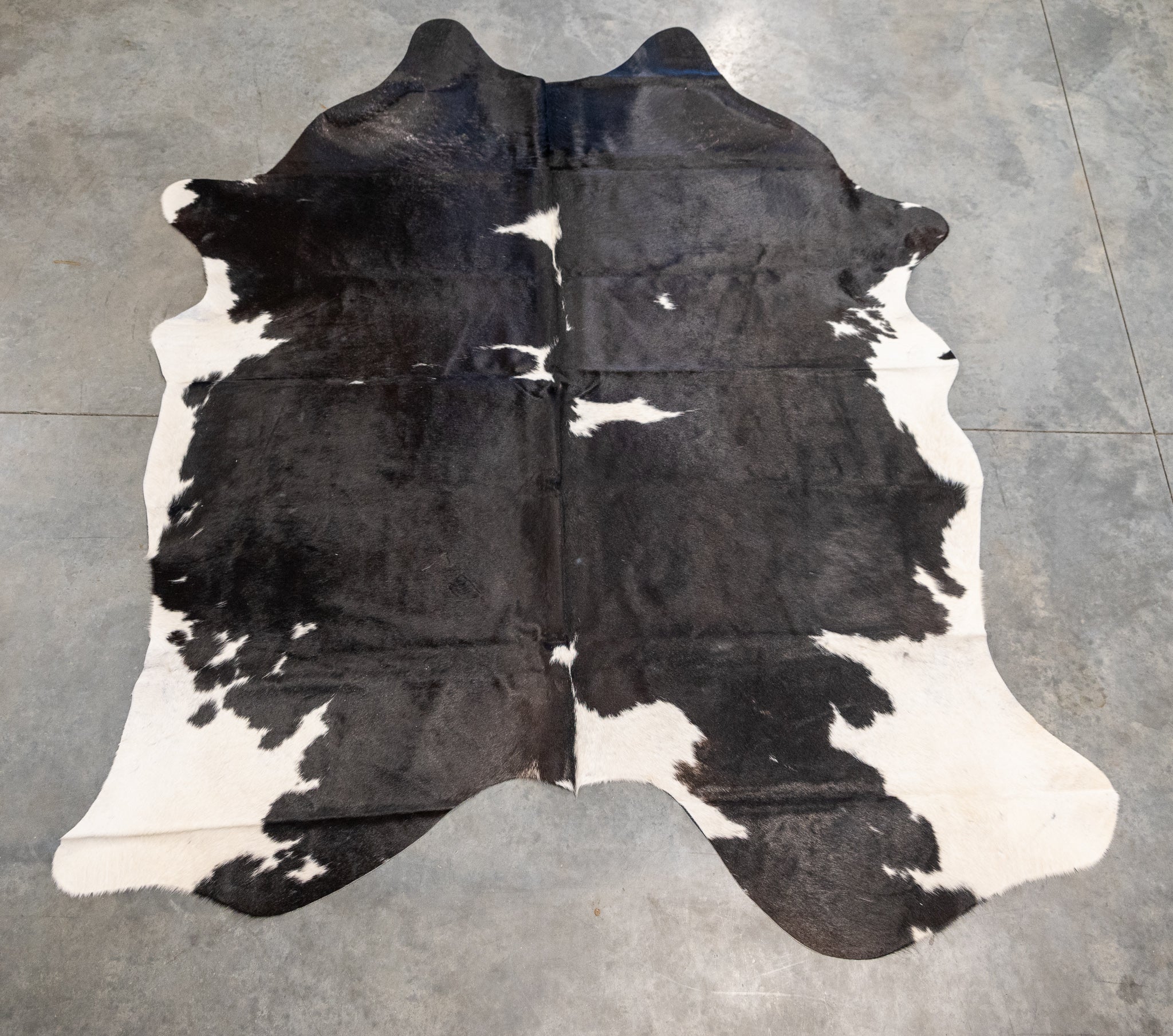 Decor – Antlers Unlimited