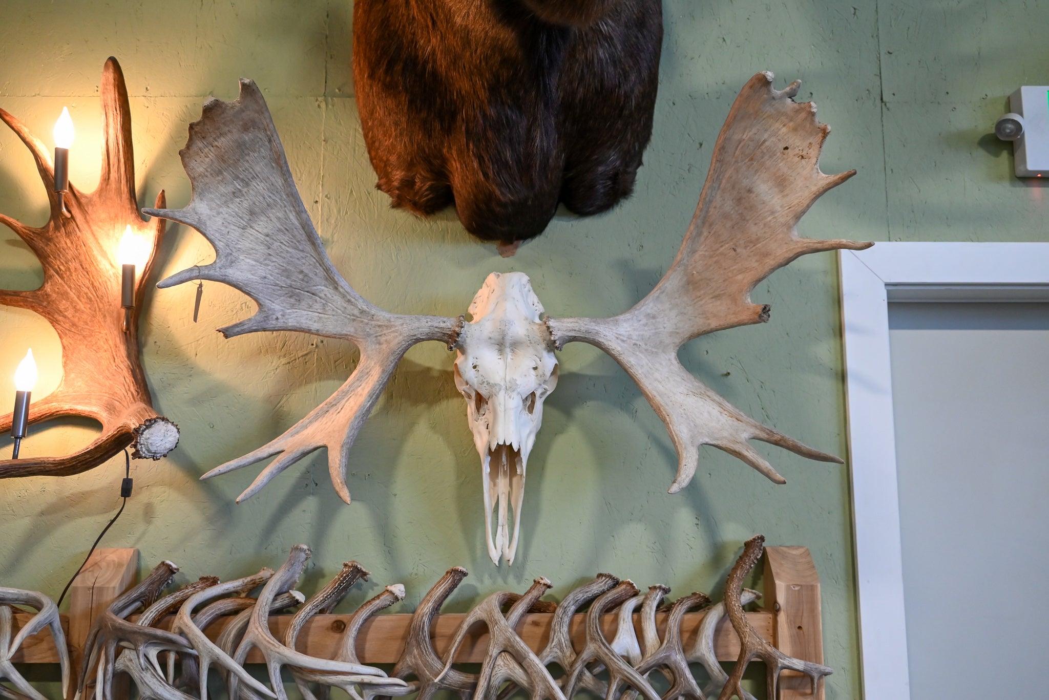 Decor – Antlers Unlimited